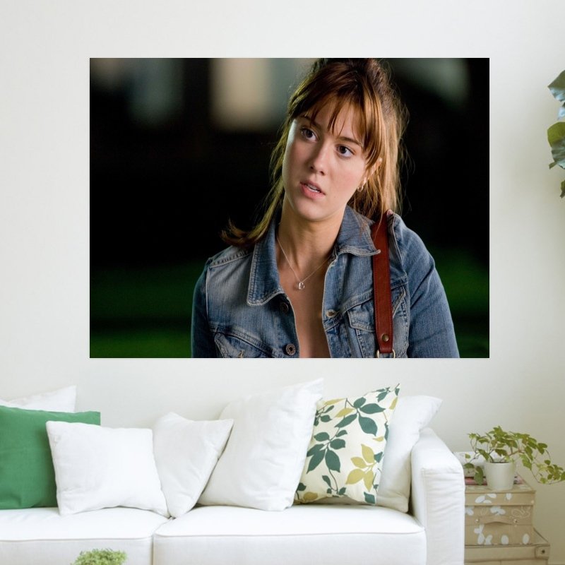 Mary Elizabeth Winstead Poster 24x18 inch