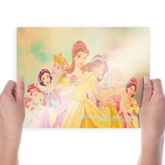 Disney Princesses Poster 24x18 inch