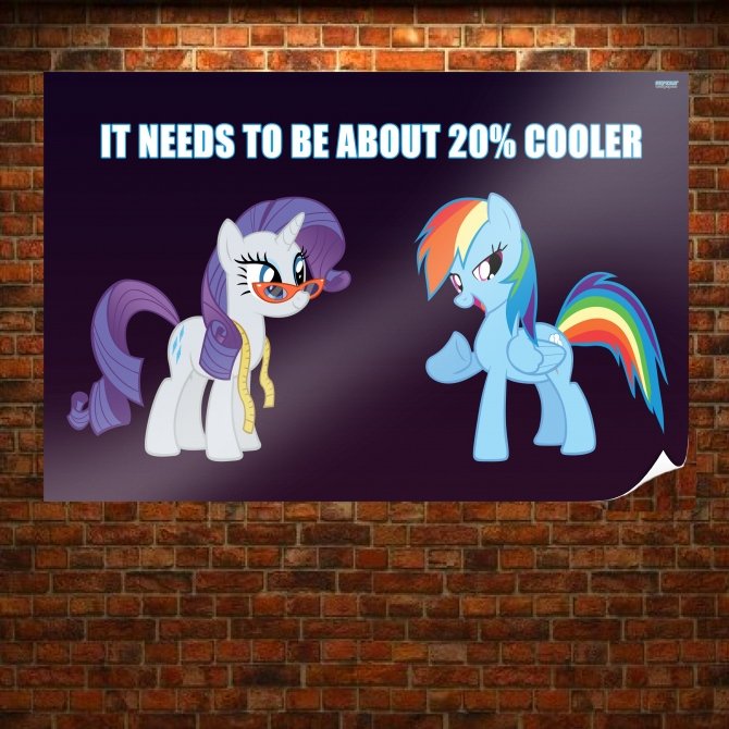 20 Cooler Poster 36x24 inch