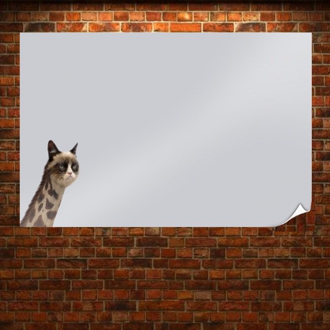 Grumpy Cat Meme Giraffe Wtf Poster 36x24 inch