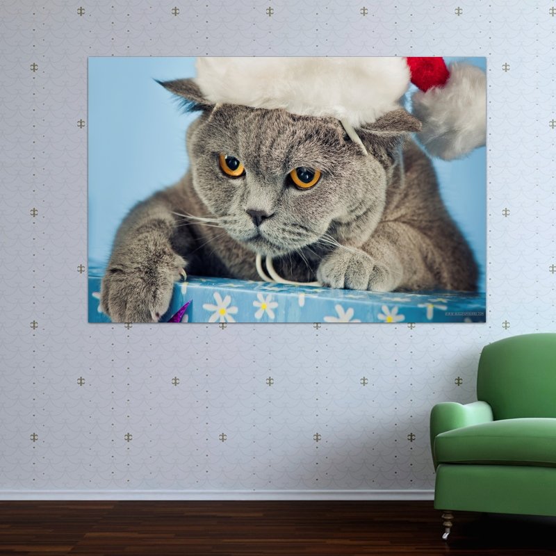 Angry Christmas Cat Art Poster Print 36x24 inch
