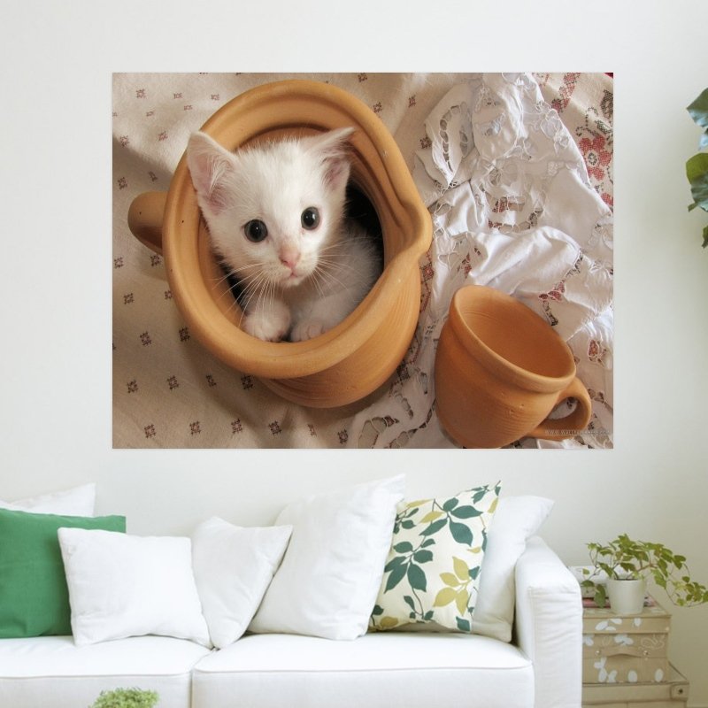 Little Kitty Hd Art Poster Print 24x18 inch