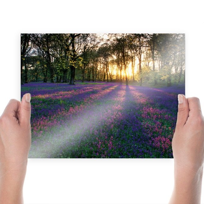 Sunrise Field Art Poster Print 24x18 inch
