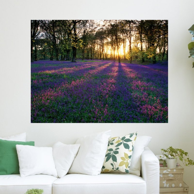 Sunrise Field Art Poster Print 24x18 inch