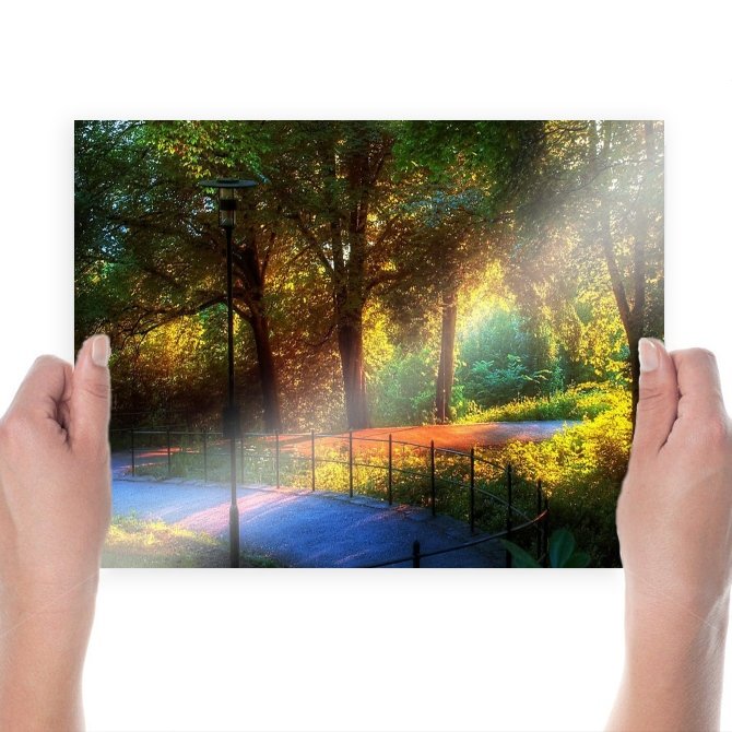 Colorful Park Art Poster Print 24x18 inch