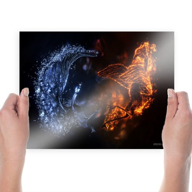 Fire And Water Elemental Birds Background Art Poster Print 24x18 inch