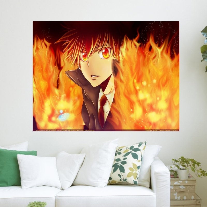Tsunayoshi Sawada Art Poster Print 24x18 inch