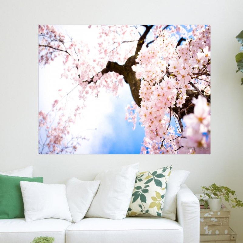 The Oriental Cherry Is In Full Blossom Art Poster Print 24x18 inch