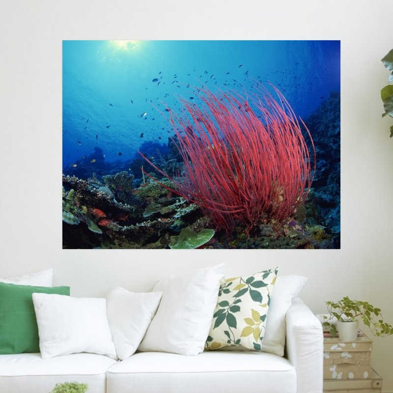 World Of Undersea Art Poster Print 24x18 inch