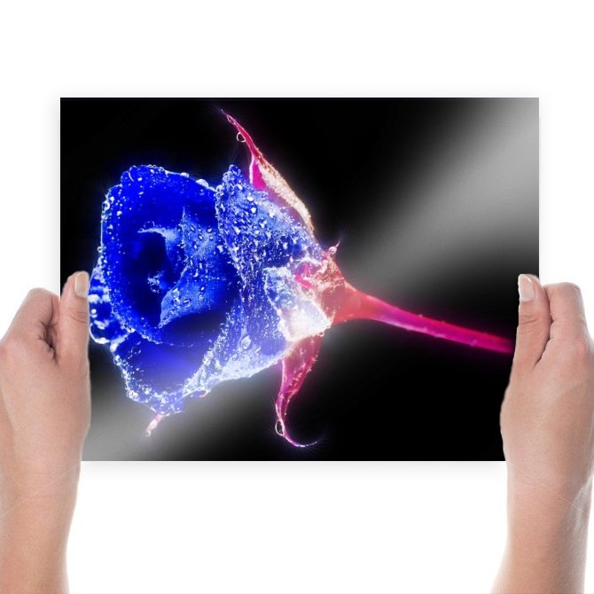 Sparkling Crystal Blue Rose Art Poster Print 24x18 inch