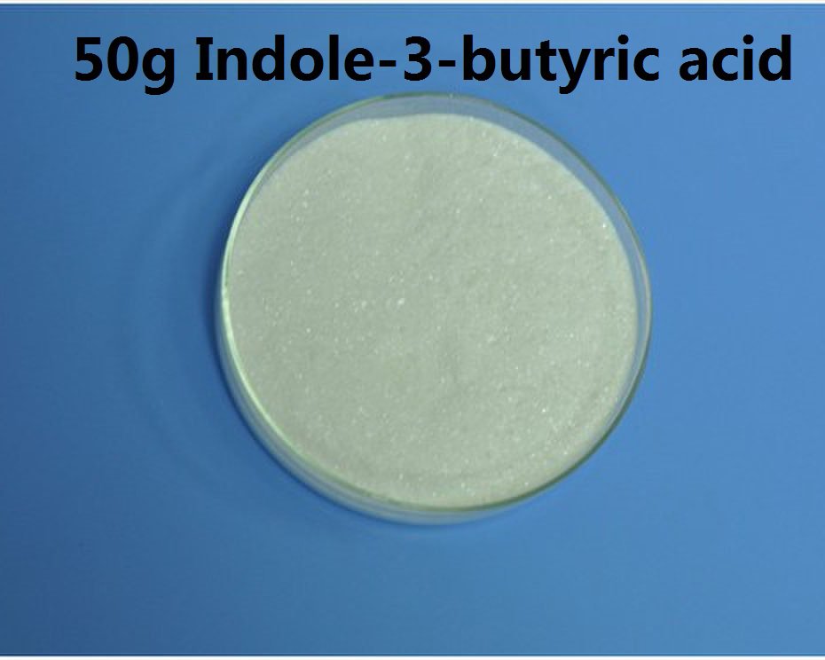 50g Indole Butyric Acid Indole-3-Butyric 98% IBA Alcohol Soluble cas#133-32-4