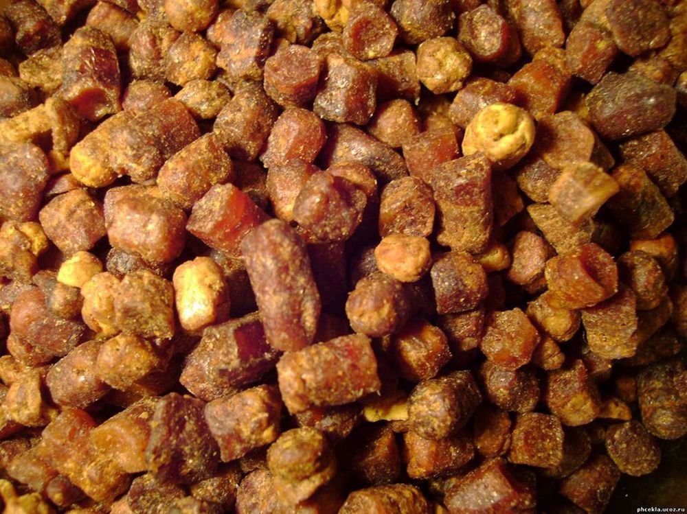 Siberian Natural Bee Bread 250gr (0.55Pounds) - 2500gr (5.51Pounds ...