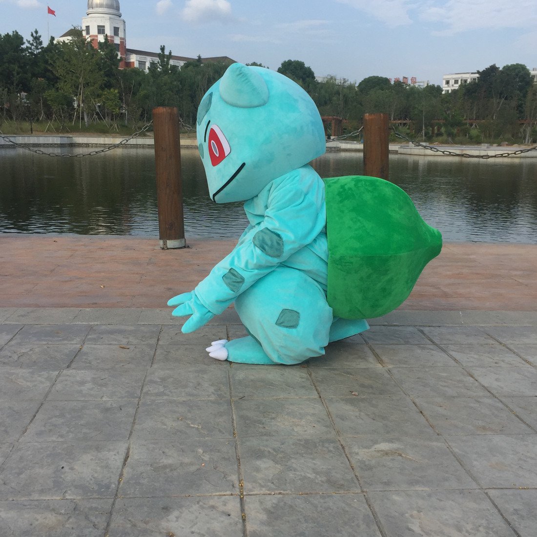 Game Pokemon Bulbasaur Cartoon Character Animal Pocket Monster Dress ...