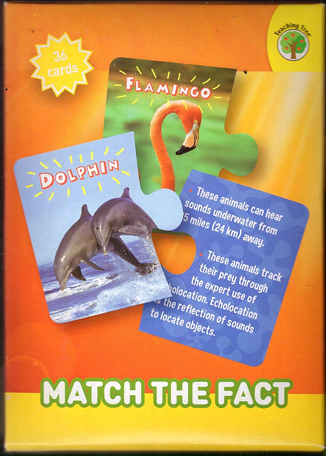 Set of 3 National Geographic Flash Cards