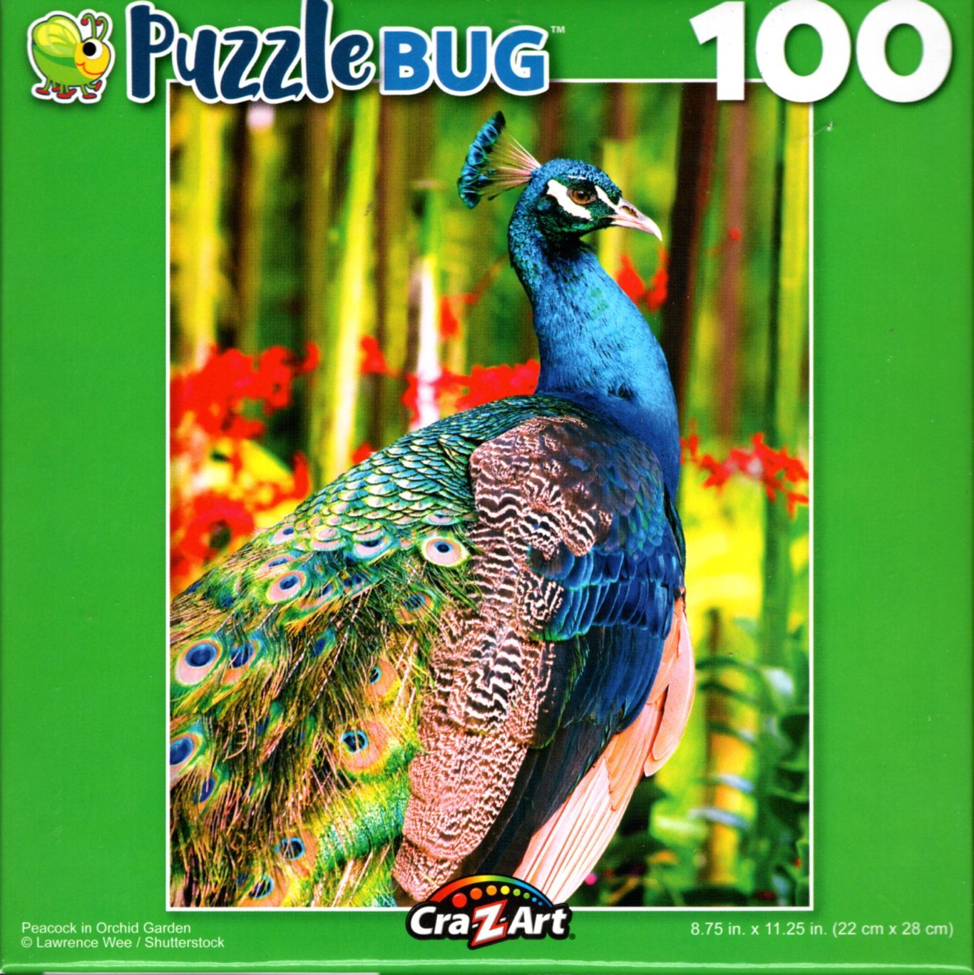 Puzzlebug Peacock in Orchid Garden 100 Piece Jigsaw Puzzle