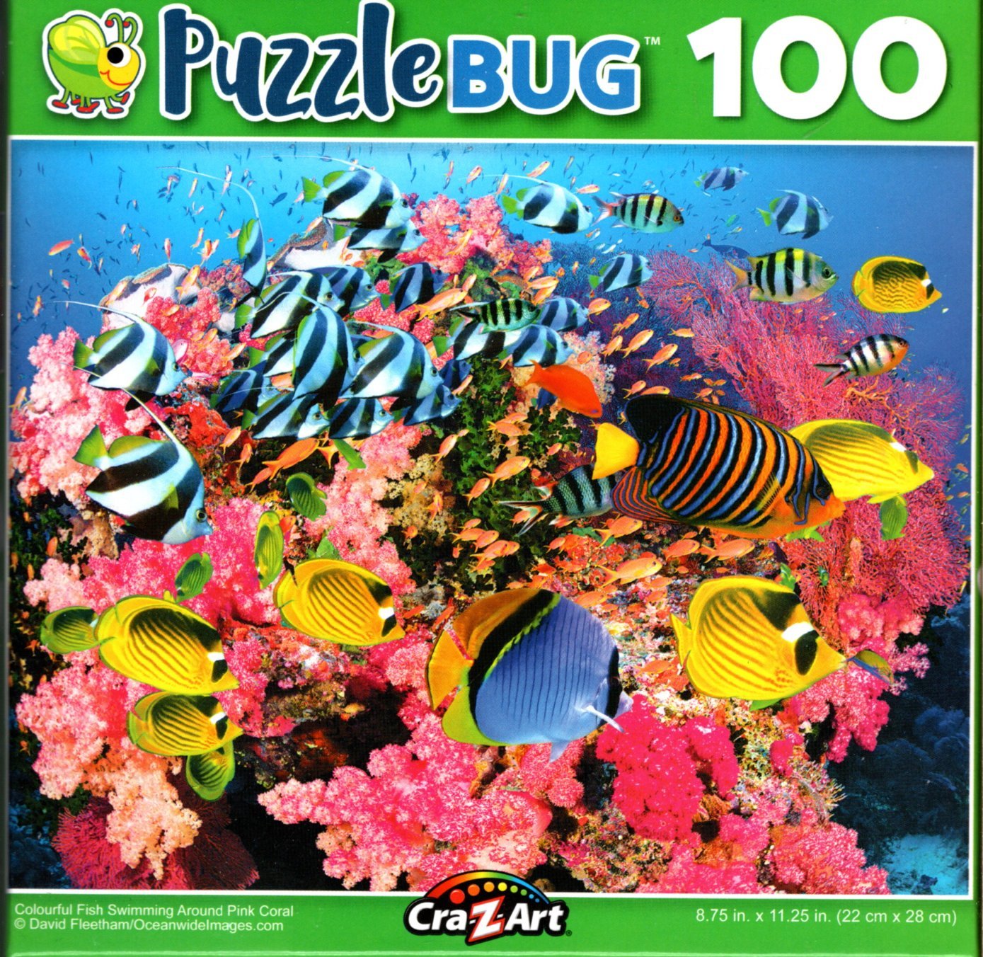 Colorful Fish Swimming Around Pink Coral - 100 Pieces Jigsaw Puzzle