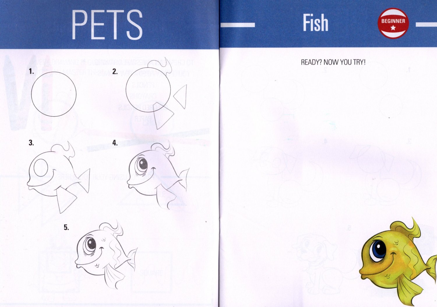 iDraw - Learn to Draw Instructional Step-by-Step Tutorial Books - (Set ...