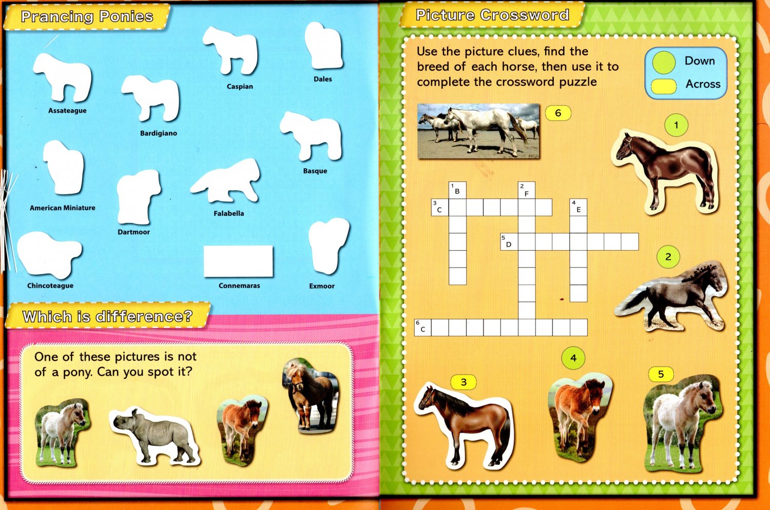 Horses & Ponies - Sticker Activity Book - More Than 100 Reusable ...