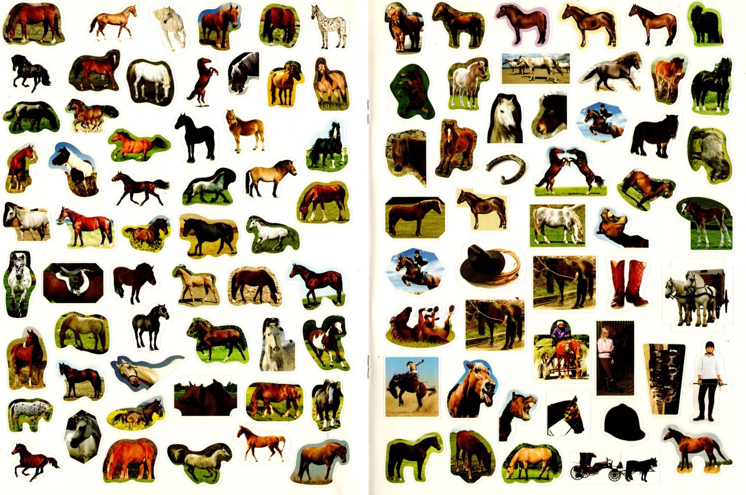 Horses & Ponies - Sticker Activity Book - More Than 100 Reusable ...