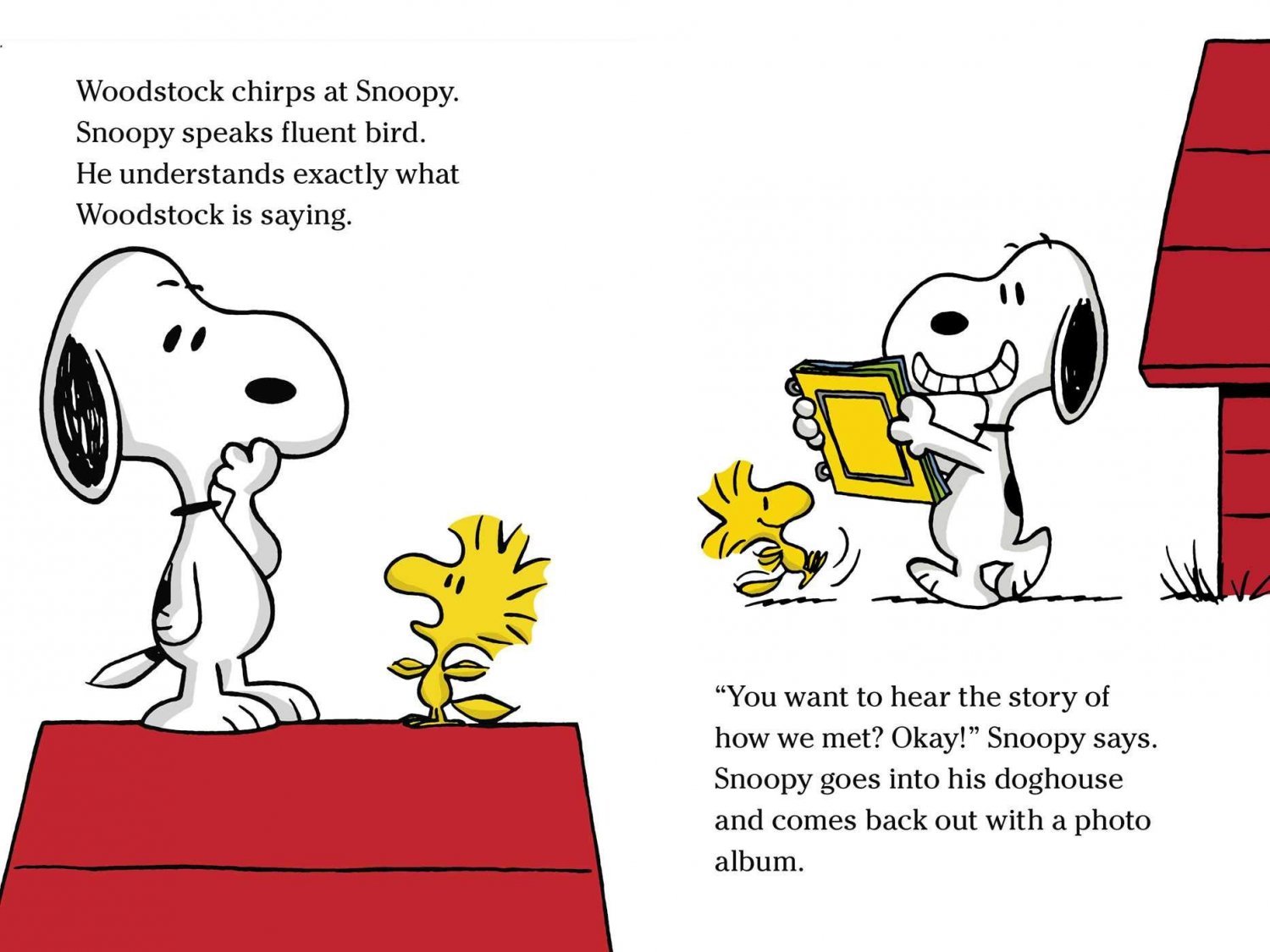 Snoopy and Woodstock: Best Friends Forever! (Peanuts)