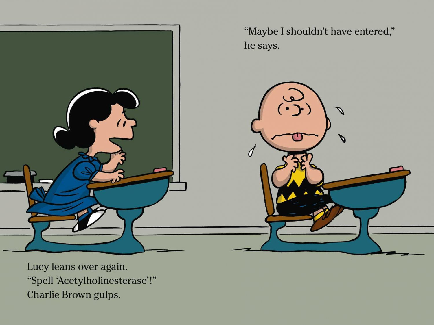 Time for School, Charlie Brown (Peanuts)