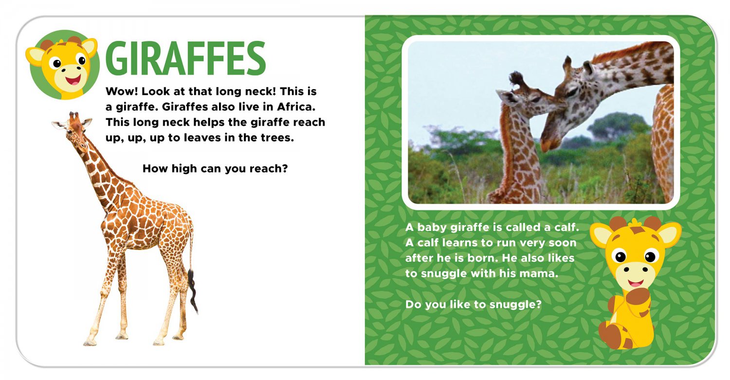 Baby Einstein Animals of the World-Video Fun Board Book with Sound ...