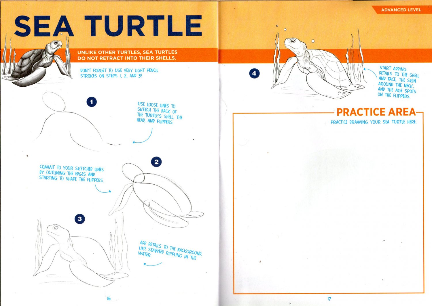 iDraw - Learn to Draw Instructional Step-by-Step Tutorial Books - Sea ...