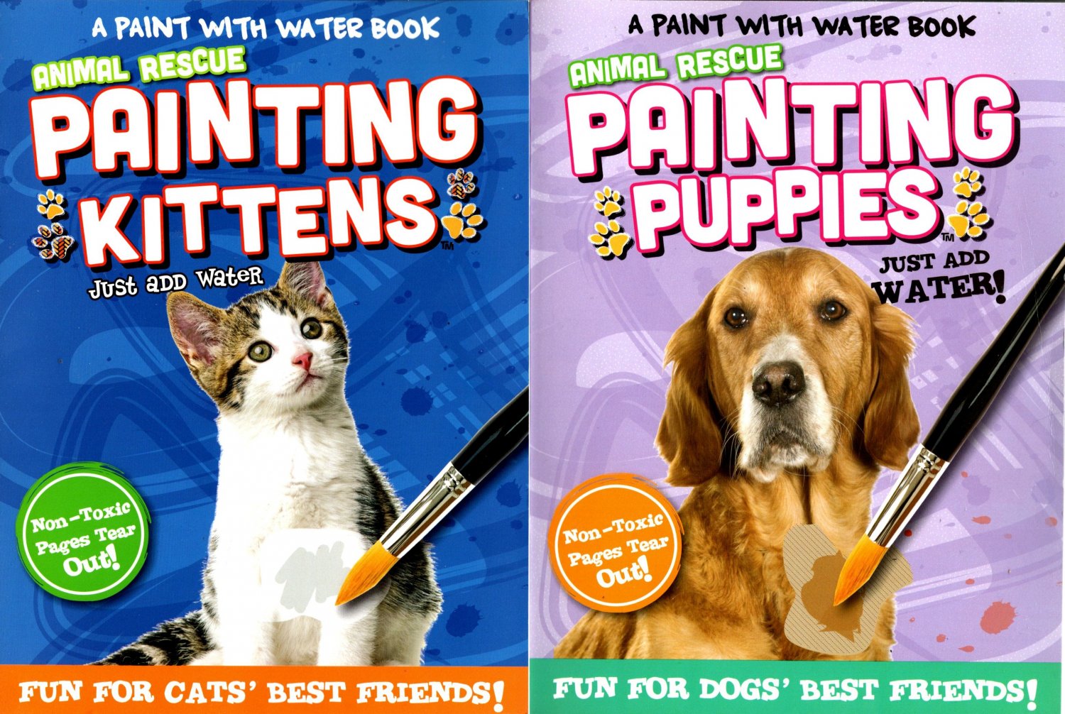 A Paint with Water - Animal Rescue Painting Kittens and Painting ...
