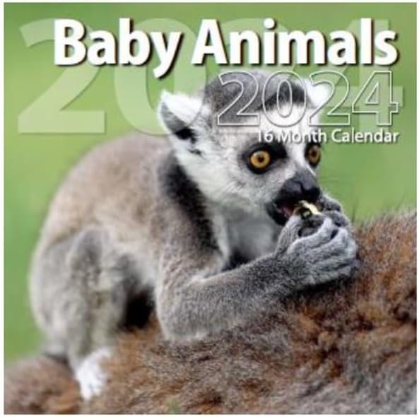 2024 Baby Animals Full Size Wall Calendar for Planning, Scheduling, and ...