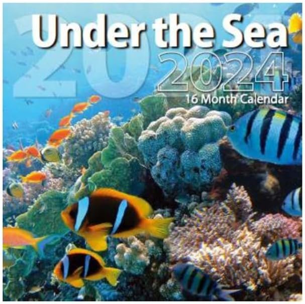2024 Under the Sea Full Size Wall Calendar for Planning, Scheduling ...