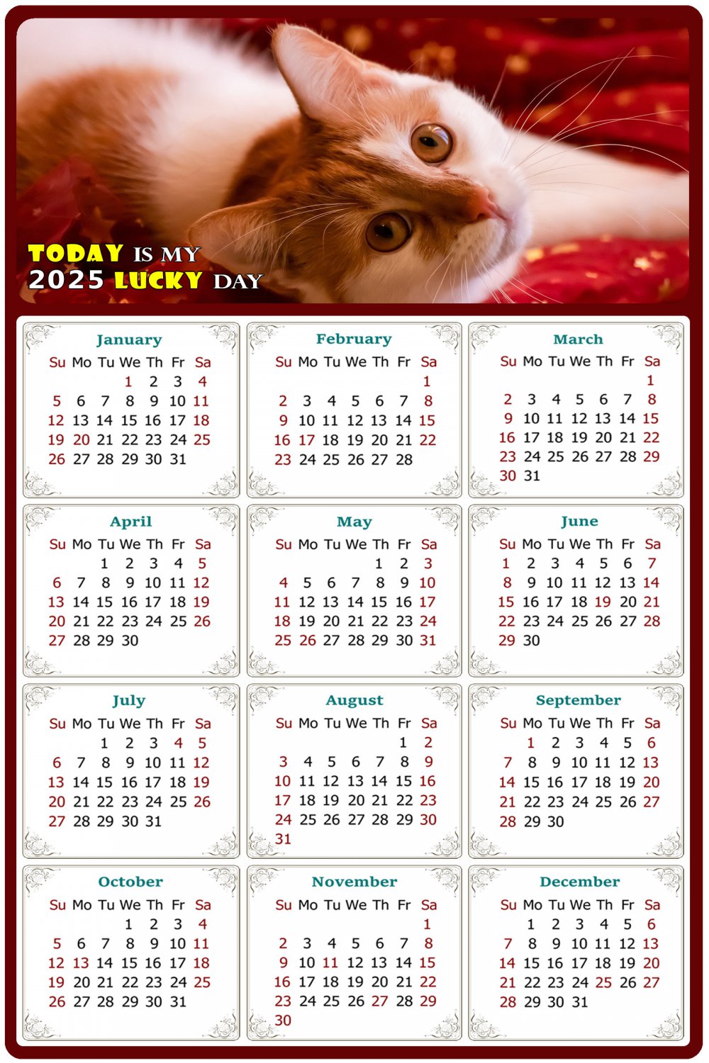 2025 Peel & Stick Calendar - Today is my Lucky Day Removable - Cat 07 ...