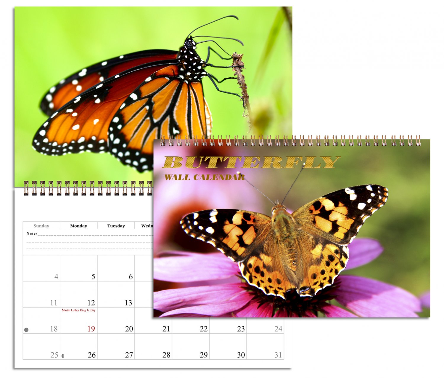 2026 Spiral-bound Wall Calendar (Butterfly) - 12 Months Desktop / Wall ...