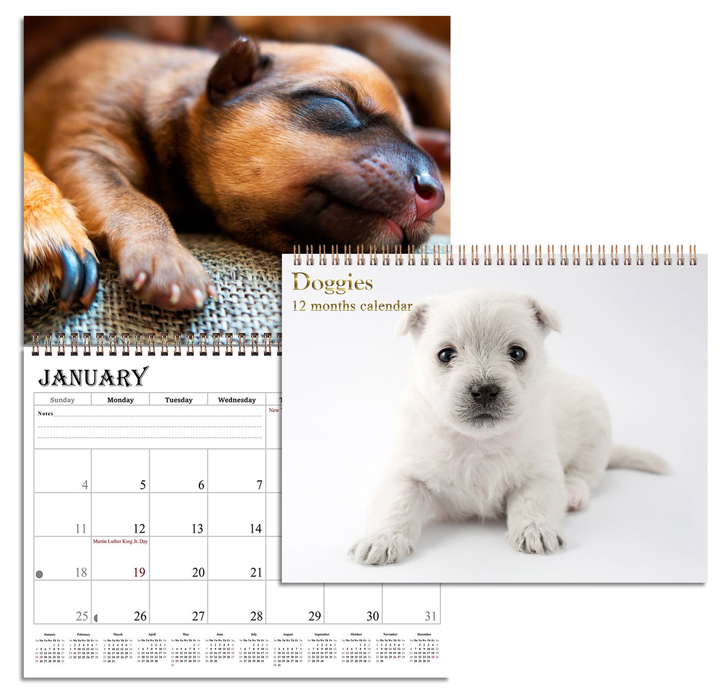 2026 Spiral-bound Wall Calendar (Puppies Dogs) - 12 Months Desktop (11x17)