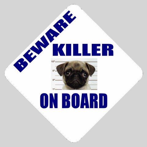 New Pug Beware Killer On Board Dog Pet Lover Car Window Sign 15868500