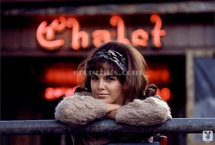 LISA BAKER Pinup YEAR 1967 Premier H.Q Metallic Photo Print 8x10 No 9