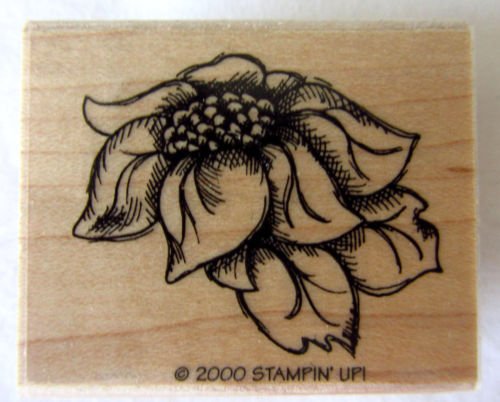 Stampin Up Rubber Stamp 2000 Flower In The Garden Wood Mounted Floral