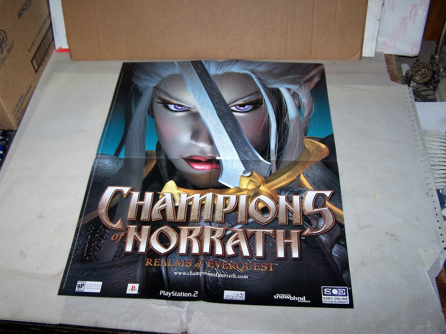champions of norrath realms of everquest video game poster 2 sided poster