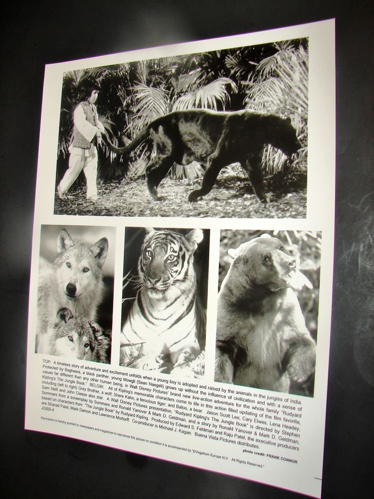 1994 THE JUNGLE BOOK Movie 8x10 Photo Sean Naegeli Grey Brother Shere ...
