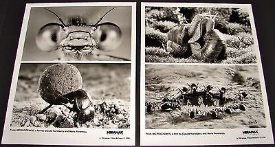 2 1996 MICROCOSMOS Movie 8x10 Press Kit Photographs Ants Snails Dung Beetle