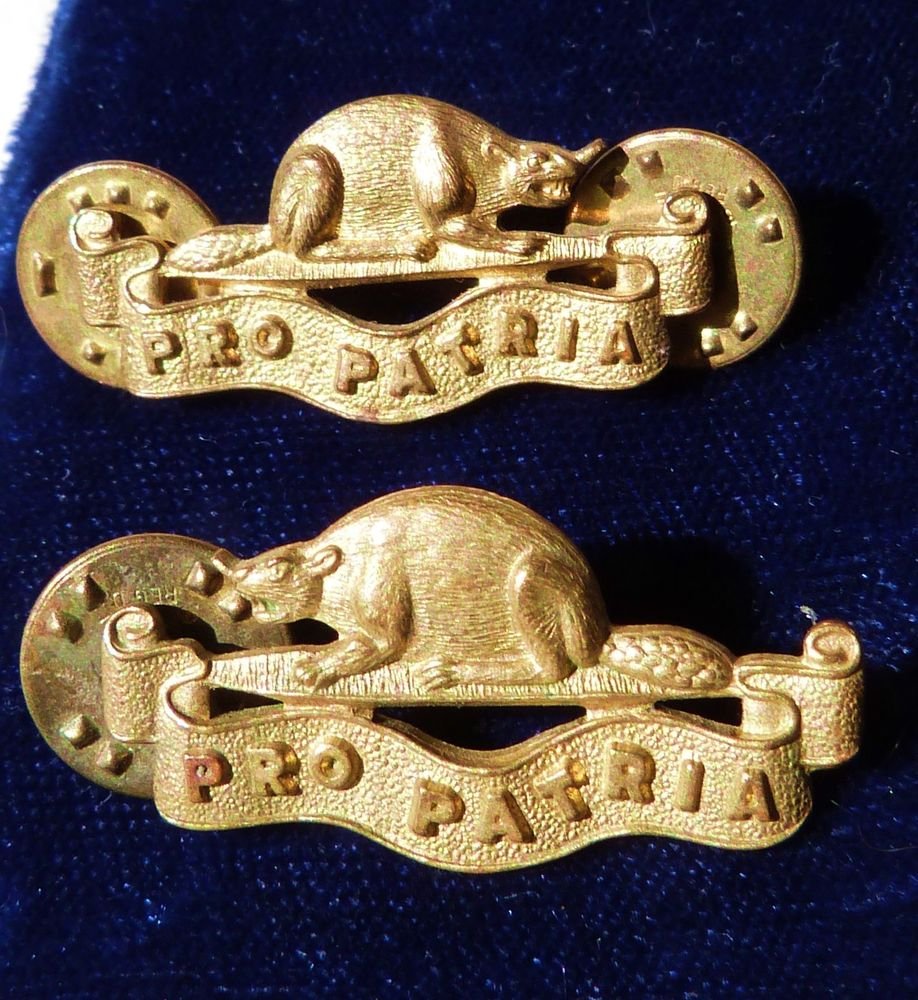 VINTAGE RCF COLLAR BADGES CANADIAN REGIMENT PRO PATRIA BEAVER MEDAL ...
