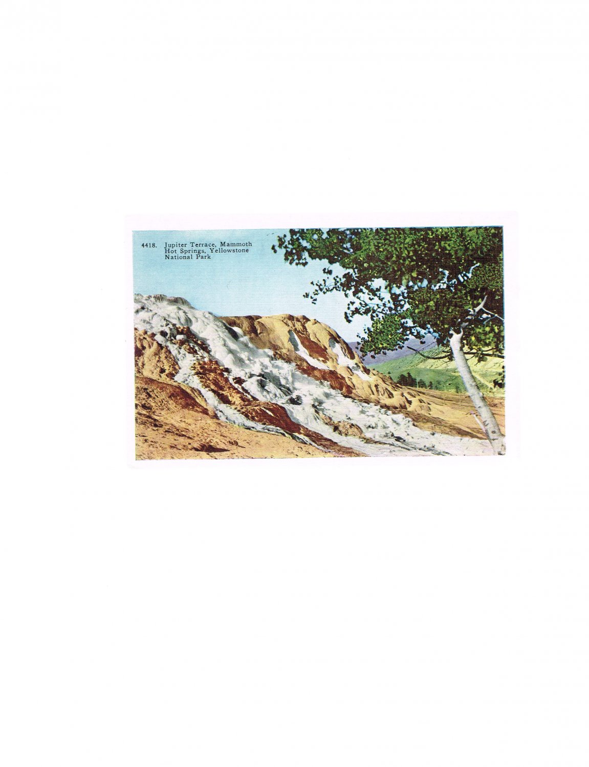 #4418 Jupiter Terrace Mammoth Hot Springs Yellowstone National Park