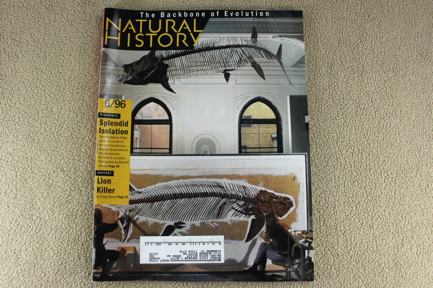 Natural History Magazine June 1996