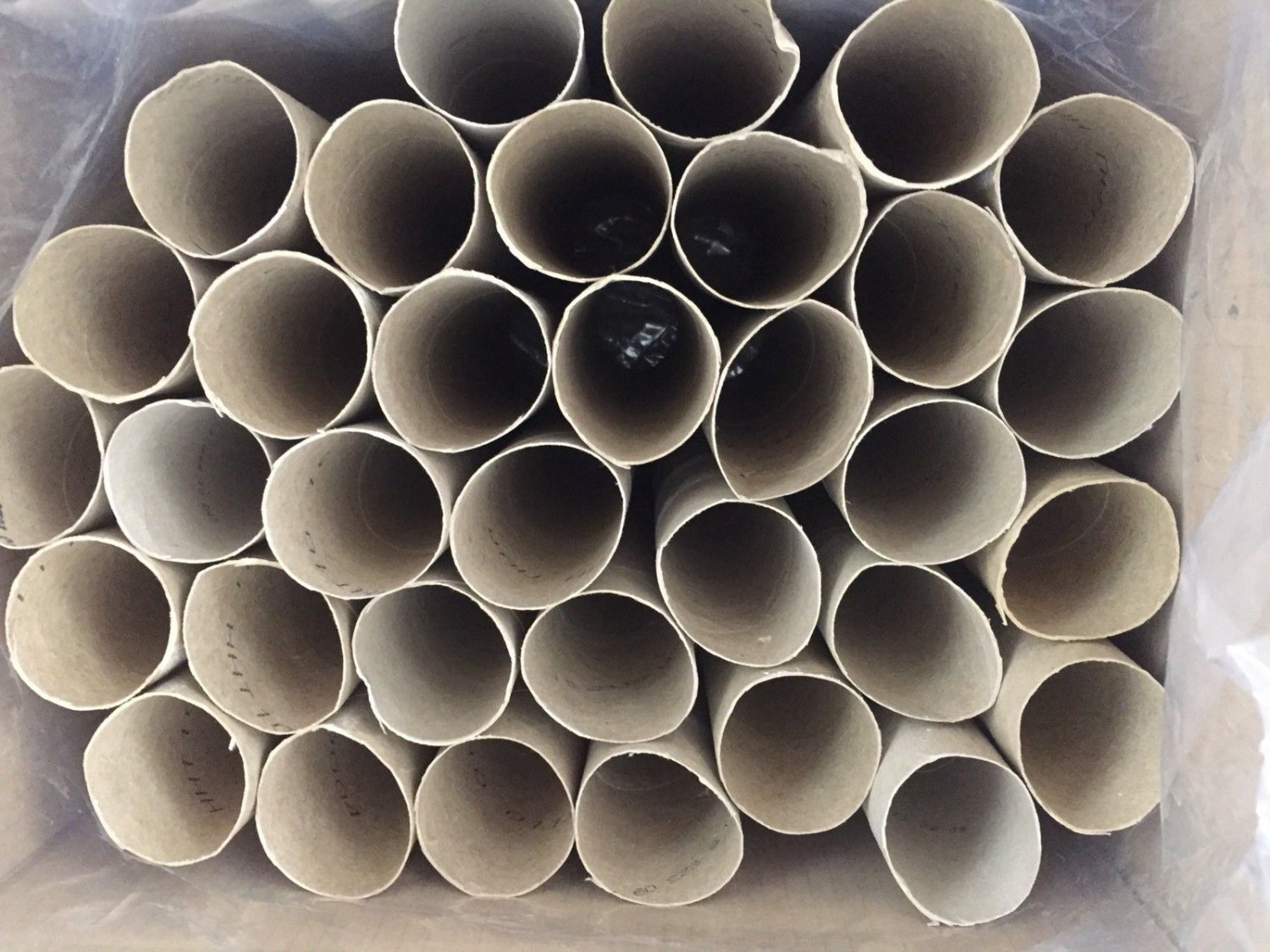 44 Empty Cardboard Paper Towel Roll Tubes Craft School Project Clean Fresh