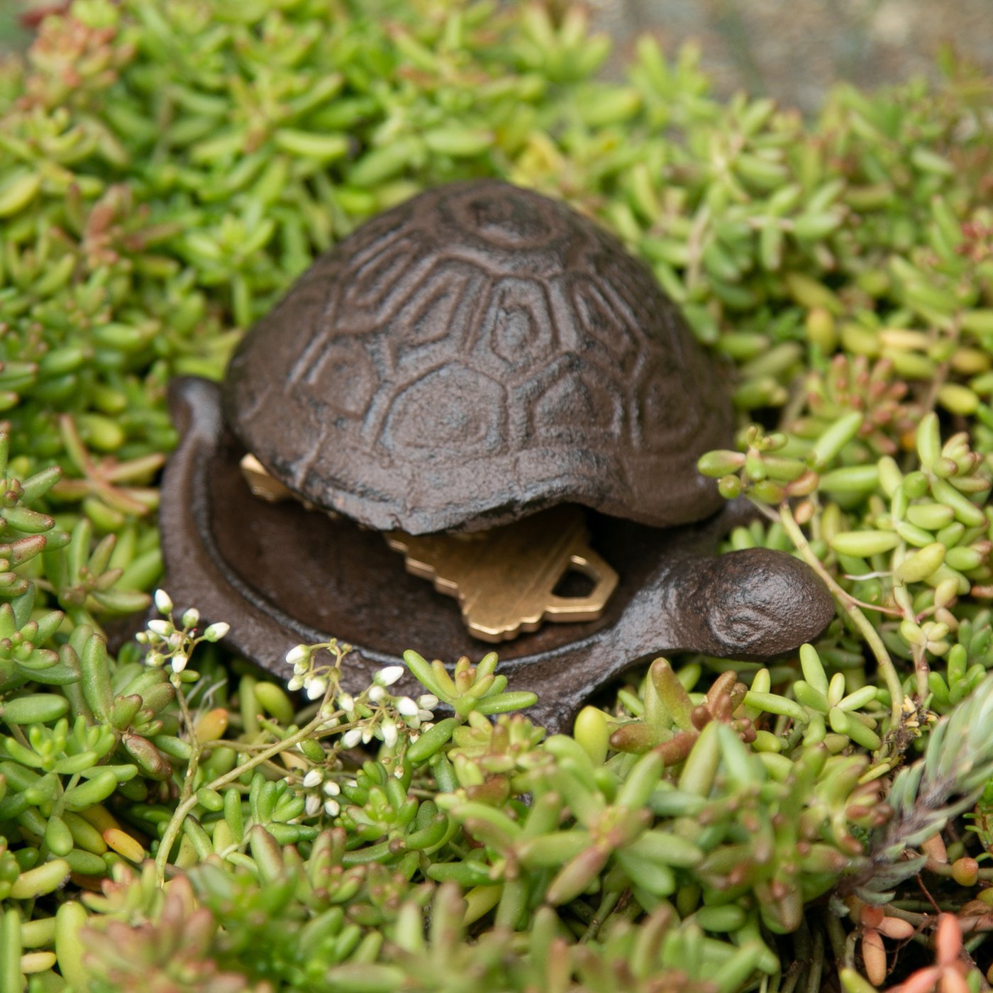 Cast Iron Turtle Garden Decor Key Hider