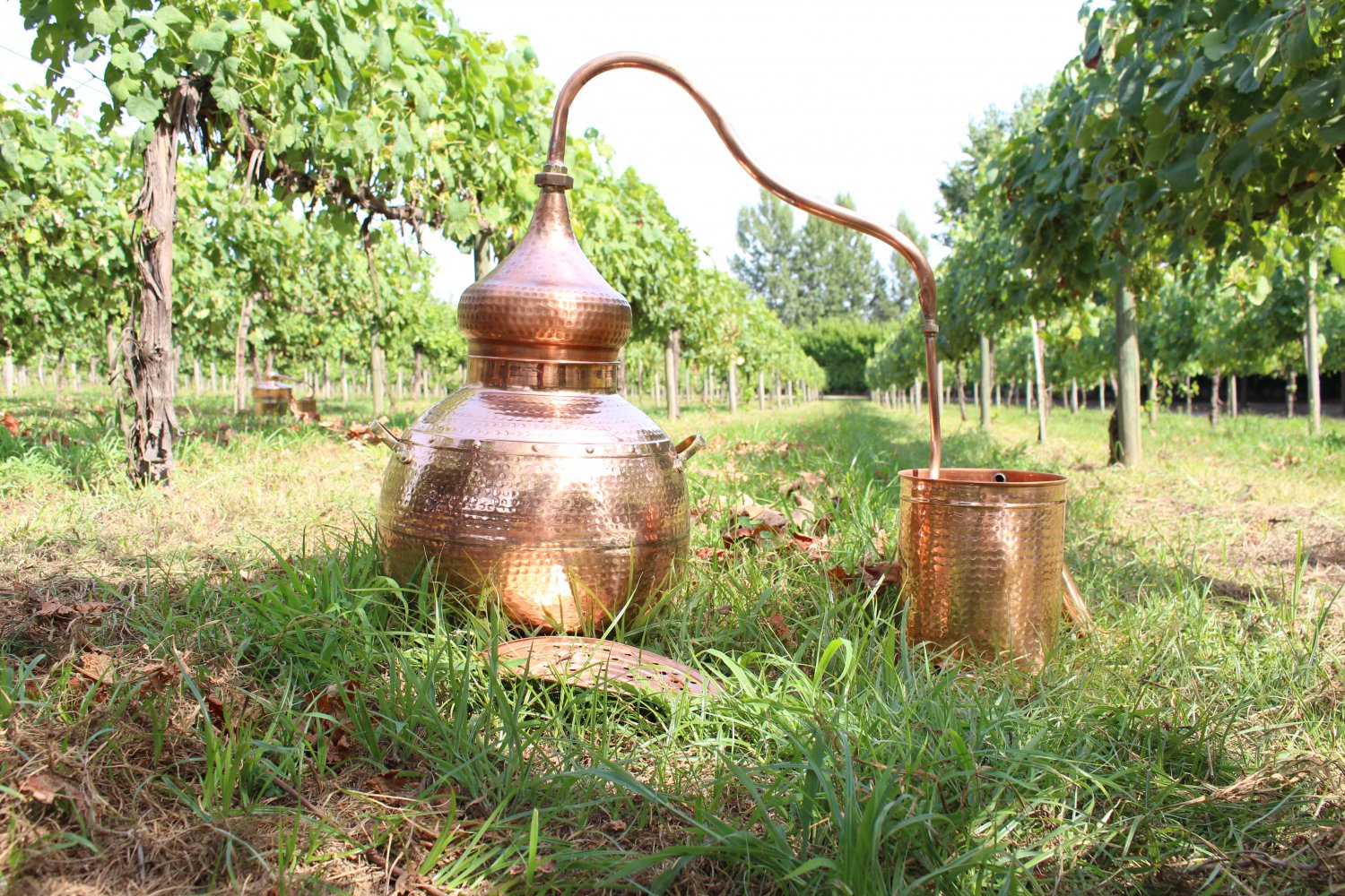Distillery 20 liters * Alambicco * Alambique * Alembic * Still ...