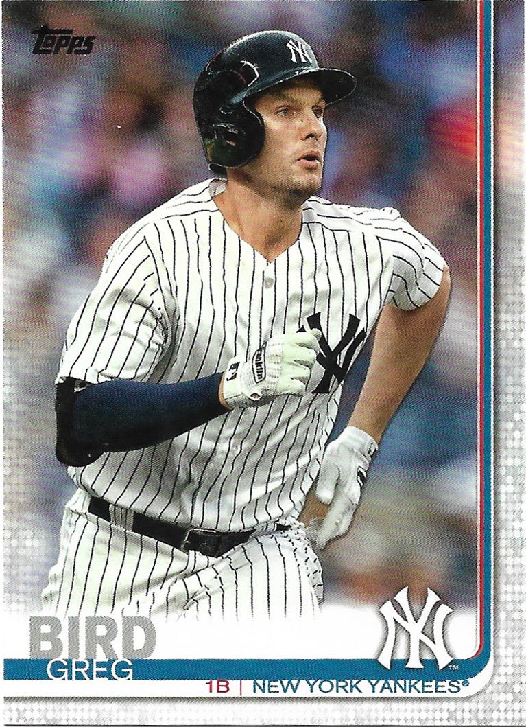 Greg Bird 2019 Topps #653 New York Yankees Baseball Card