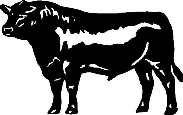 Black Angus Steer/Cow Sticker,Decal,Graphic