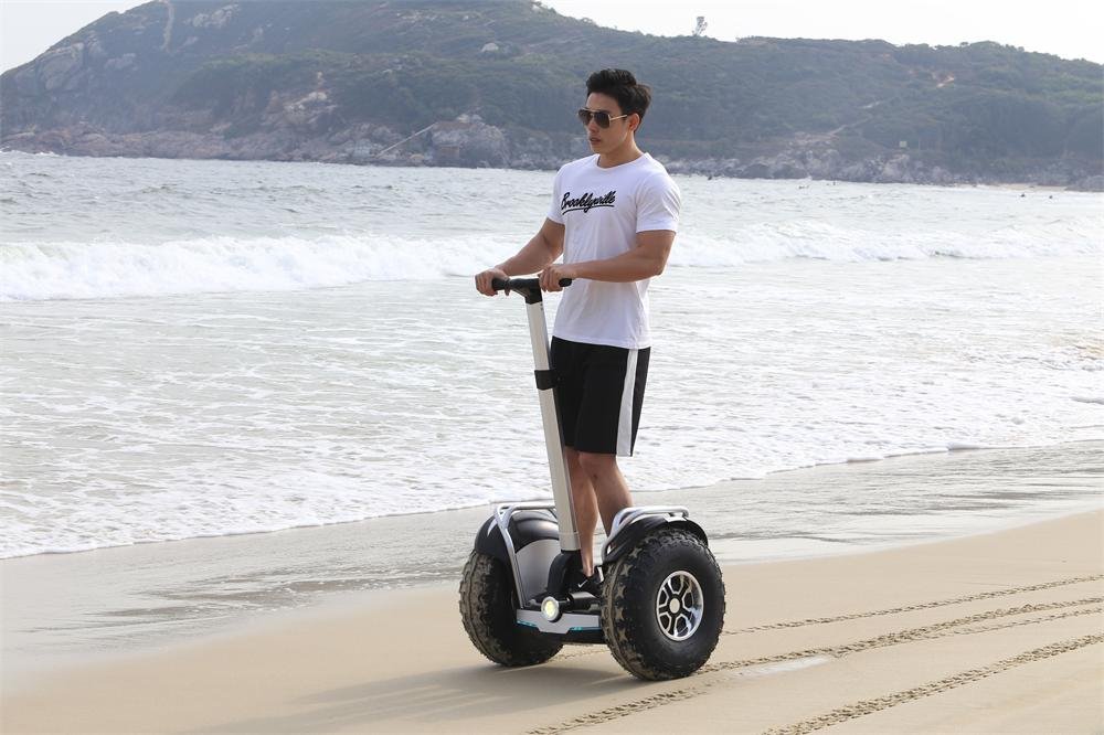 NEW 2 Wheel Off Road Electric Segway Self Balancing DOUBLE BATTERY ...