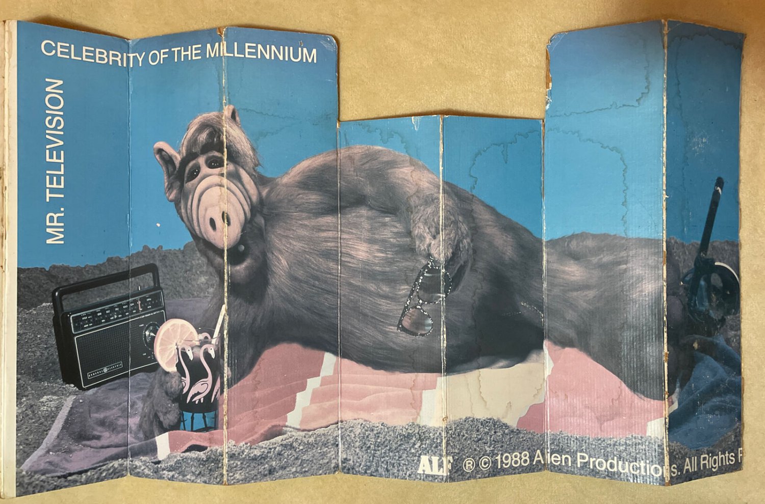 ALF Auto Sun Shade 1988 Celebrity Of The Millennium Picture Photo Print