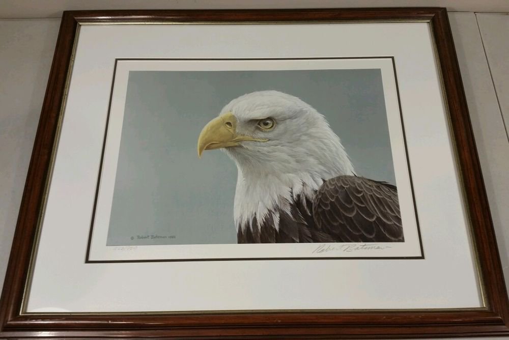 Robert Bateman Bald Eagle Portrait Limited Edition Art Print Framed 1983